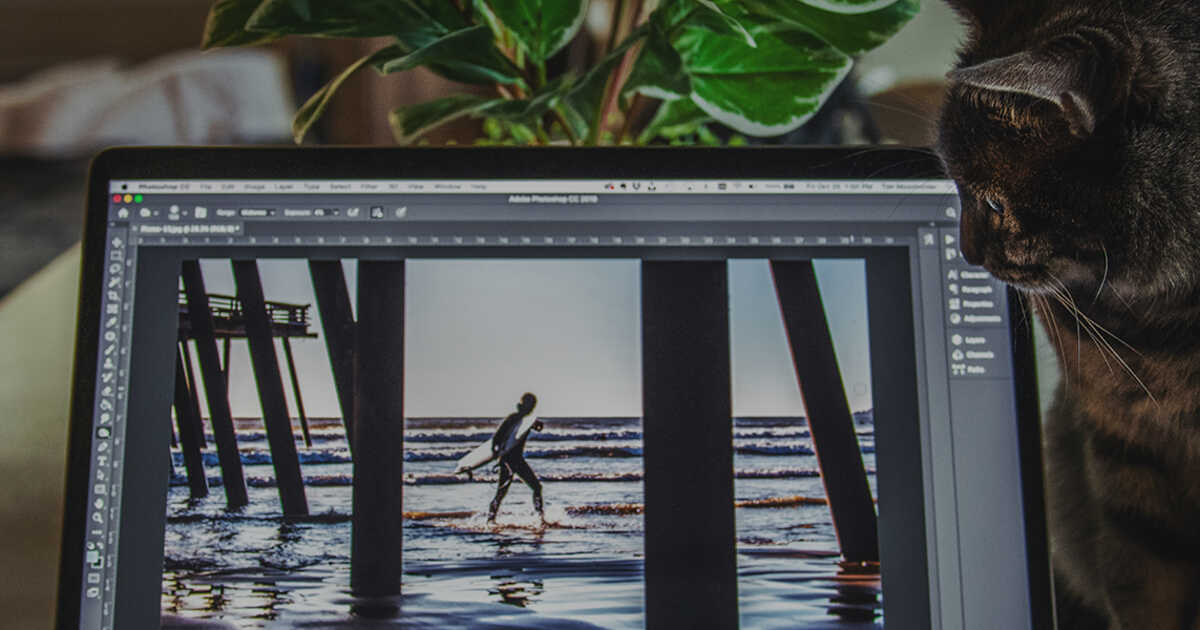 Evolving Web's Guide to Remote Working